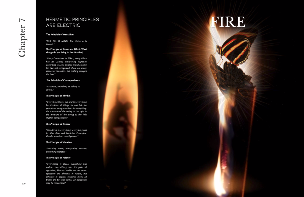 7-FIRE – IS LIFE ELECTRIC?